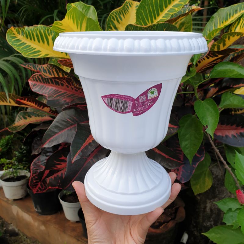 Jual (1pc) GREEN LEAF FERONIA PIALA 6152 (17,5cm) : pot bunga pajangan ...