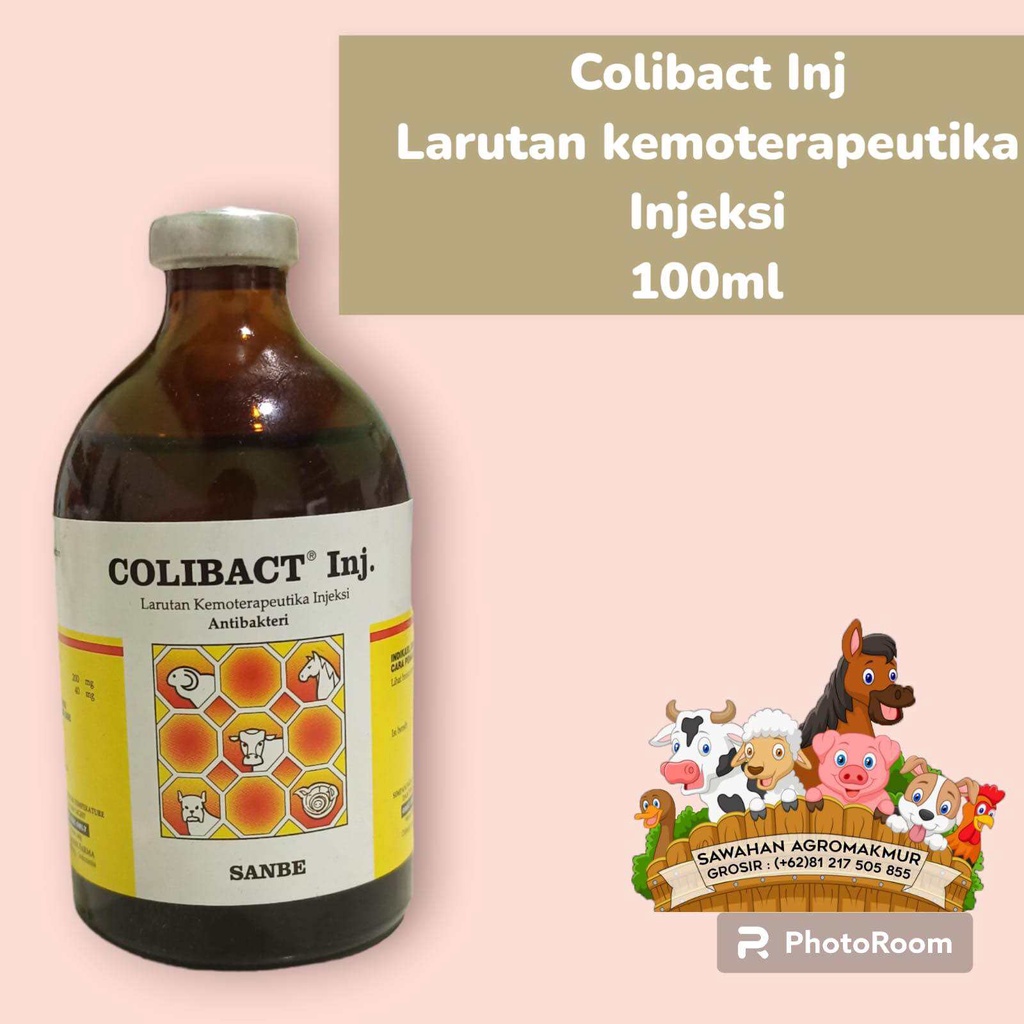 Jual colibact injeksi antibiotik untuk sapi perah kambing domba kuda ...