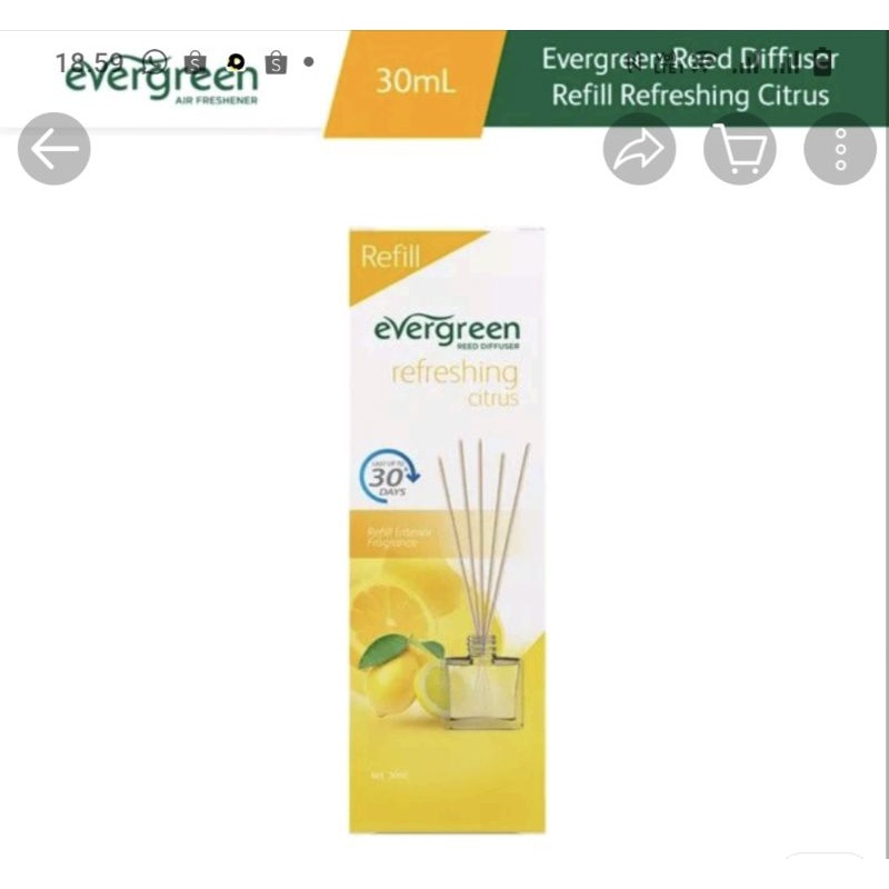 Jual Evergreen Reed Diffuser Refill Refreshing Citrus 30ml | Shopee ...