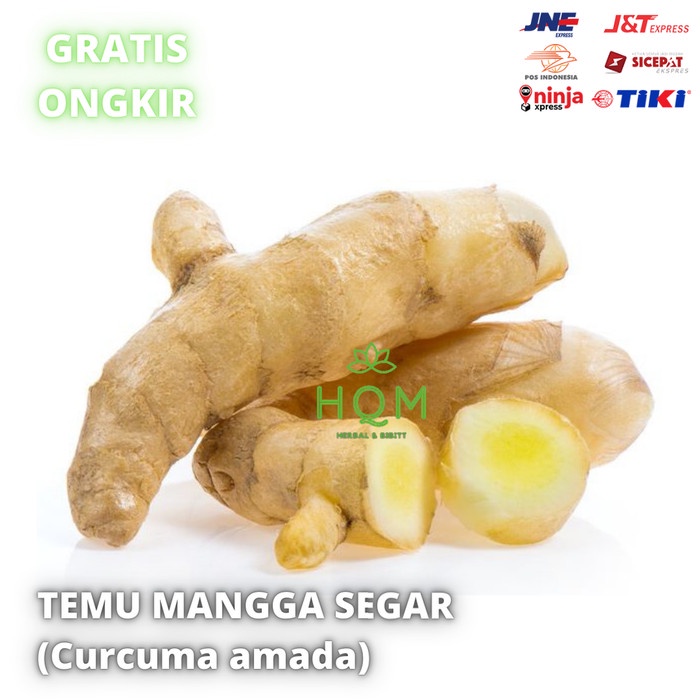 Jual TEMU MANGGA SEGAR 1KG ( Curcuma amada ) | Shopee Indonesia
