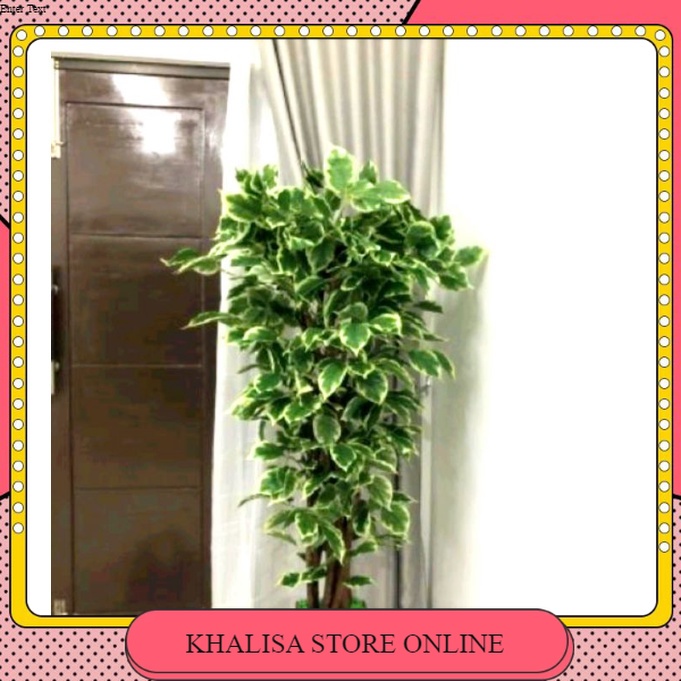 Jual POHON HIAS SINFU RIMBUN ARTIFICIAL 180CM JUMBO SUDUT RUANG TAMU ...
