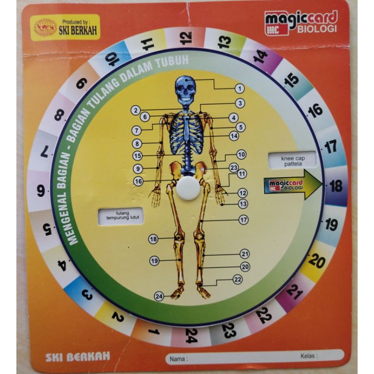 Jual Bu Guru Ria - Belajar Anatomi Tubuh Dengan Magic Card | Shopee Indonesia