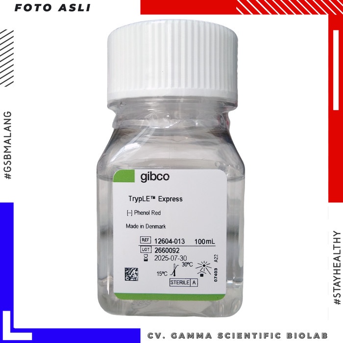 Jual TrypLE™ Express Enzyme (1X), no phenol red 100 mL - Gibco (12604 ...