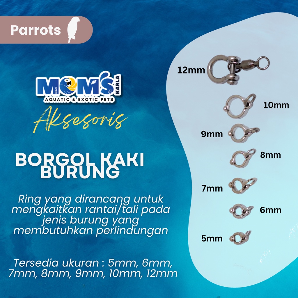 Jual RING OMEGA BURUNG 12mm | Shopee Indonesia