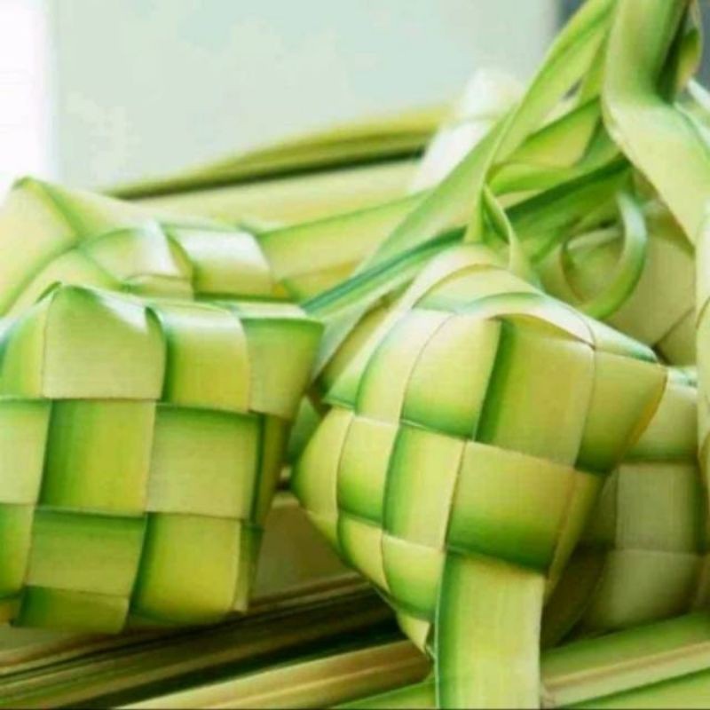 Jual New Promo DAUN KELAPA MUDA DAUN JANUR KUNING MUDA/CANGKANG KETUPAT ...