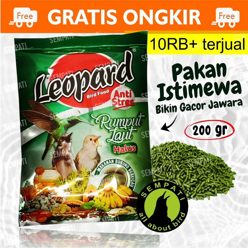 Jual SEMPATI LEOPARD RUMPUT LAUT IJO PAKAN PUR VOER HALUS ALUS PAKAN ...