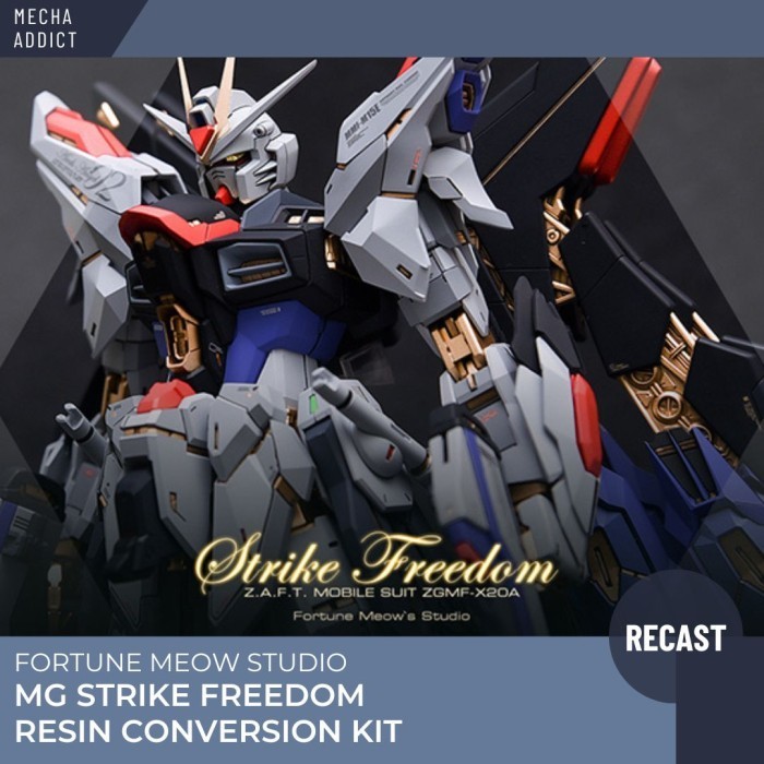 Jual MG Freedom Gundam Resin Conversion Kit by Fortune Meow Recast ...