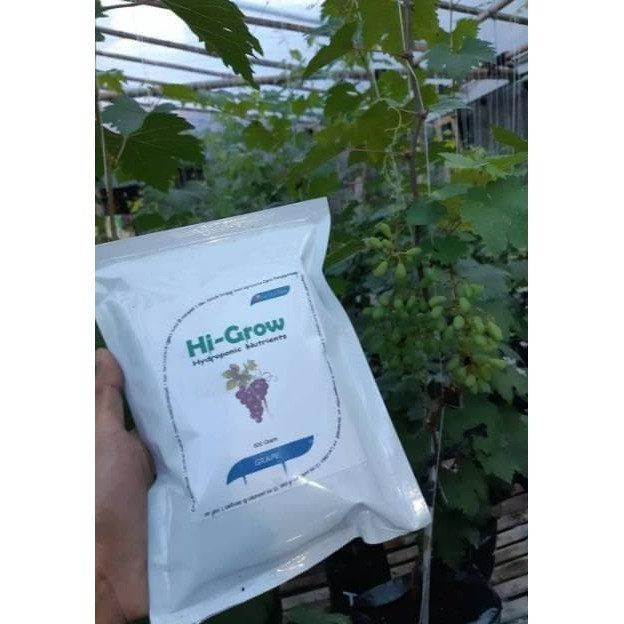 Jual Pupuk Hi-Grow Nutrisi AB Mix Hidroponik Buah Anggur HiGrow By ...