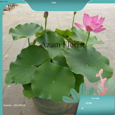 Jual Tanaman Air Lotus Bunga, Tanaman Hias Lotus | Shopee Indonesia