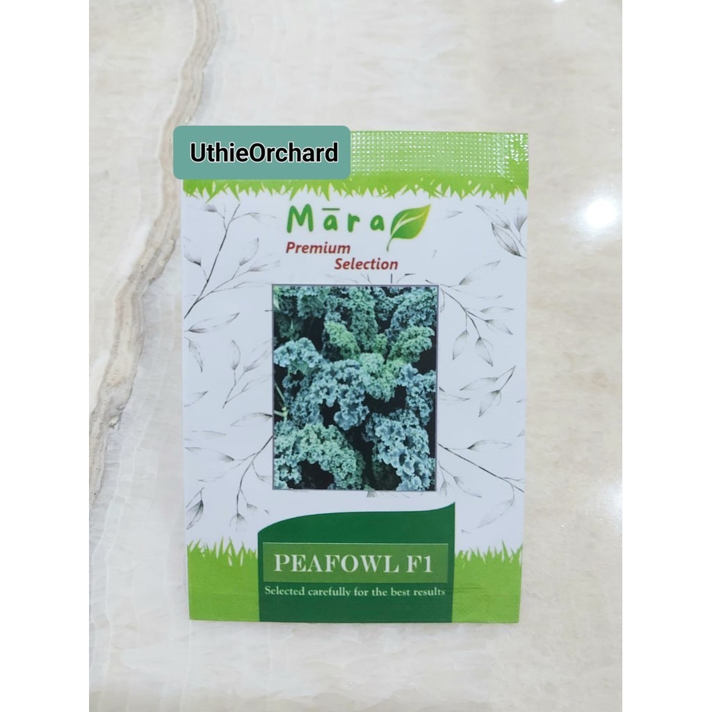 Jual Mara Premium Selection - Kale Curly Peafowl F1 200 seeds | Shopee ...