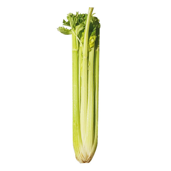 Jual CELERY STICK IMPORT 400-450 GR | Shopee Indonesia