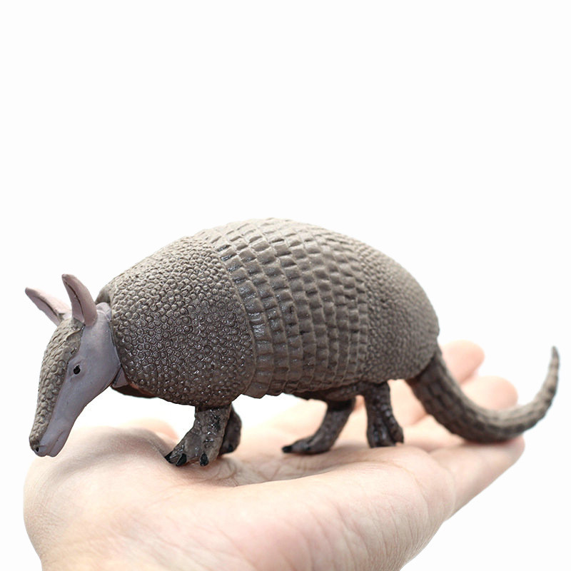 Jual Solid Armadillo Model Action Figure Simulation Animal World Wild ...