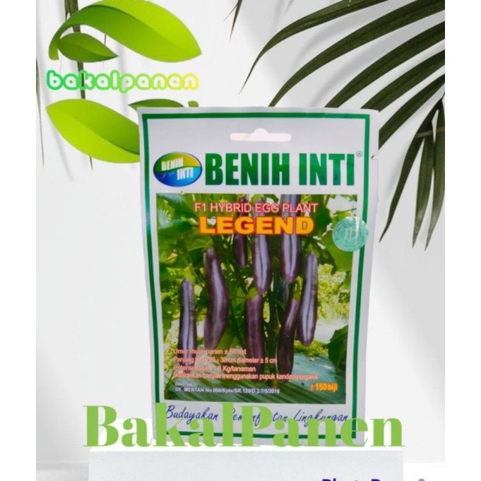 Jual Benih bibit terong ungu Benih Inti LEGEND F1 hibrida isi 150 biji kemasan baru & segel ...