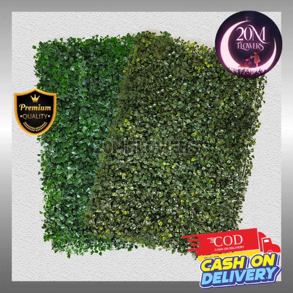 Jual RUMPUT DAUN SINTETIS DOLLAR 40X60CM - ARTIFICIAL OXYLIA - DEKORASI ...