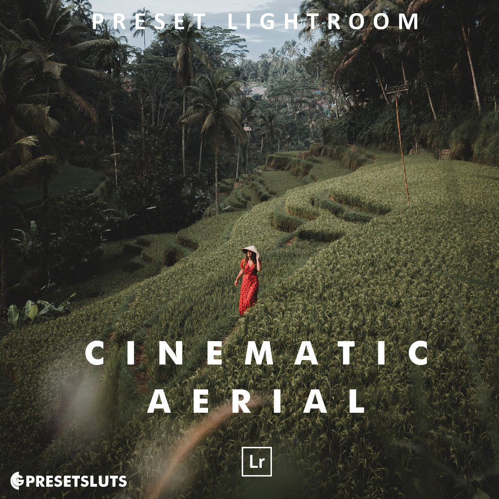Jual The Cinematic Aerial Master Collection Lightroom Preset Desktop ...