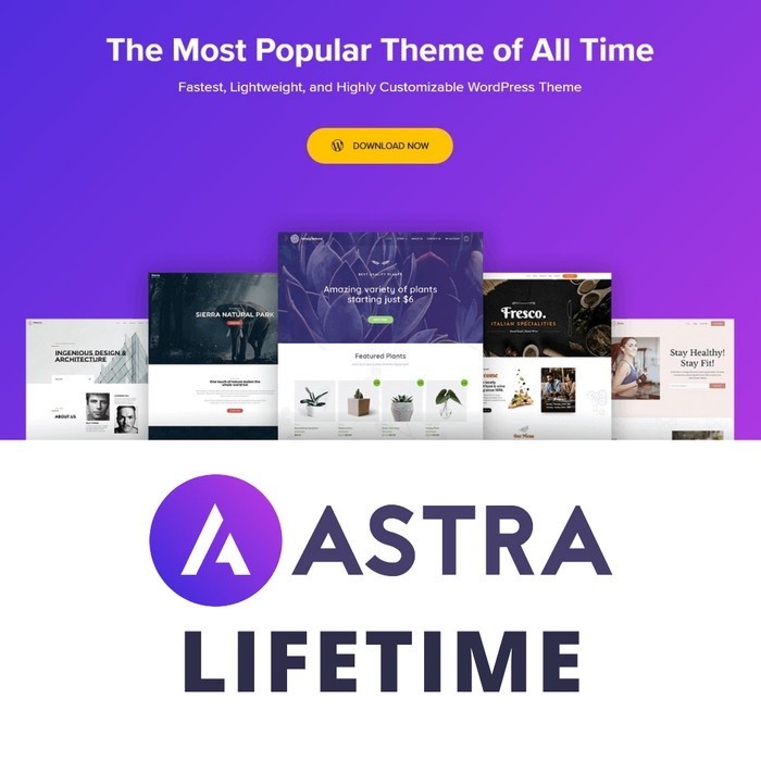 Jual Astra Premium Theme - Astra Pro Growth Bundle - Lisensi Original Lifetime | Shopee Indonesia
