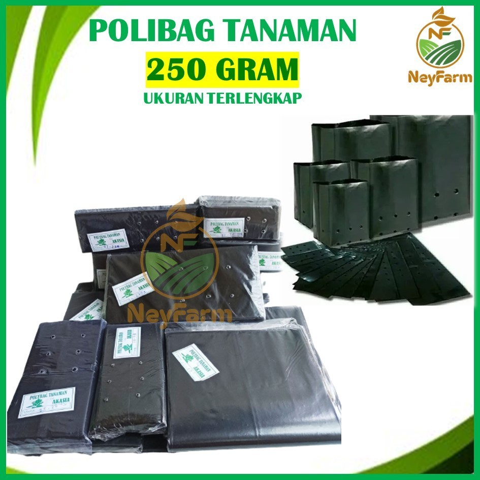 Jual Polybag Polibag Polibek Pot Plastik 250gram ukuran 10x12 12x12 ...