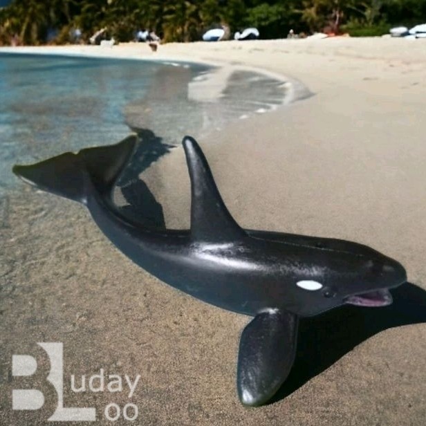 Jual Mainan Miniatur Ikan Paus Orca Killer Whale 7 cm ii5 Maket Diorama ...