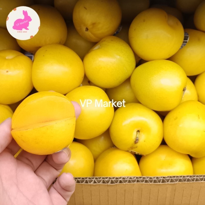Jual Buah Plum Green Midas Fresh | Buah Plum Super 1kg | Shopee Indonesia
