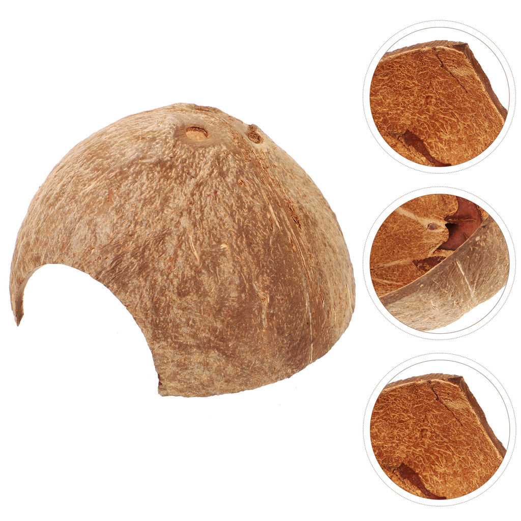 Jual Crawl Coconut Hideout House Terrarium Coconuts Shell Leopard Gecko ...