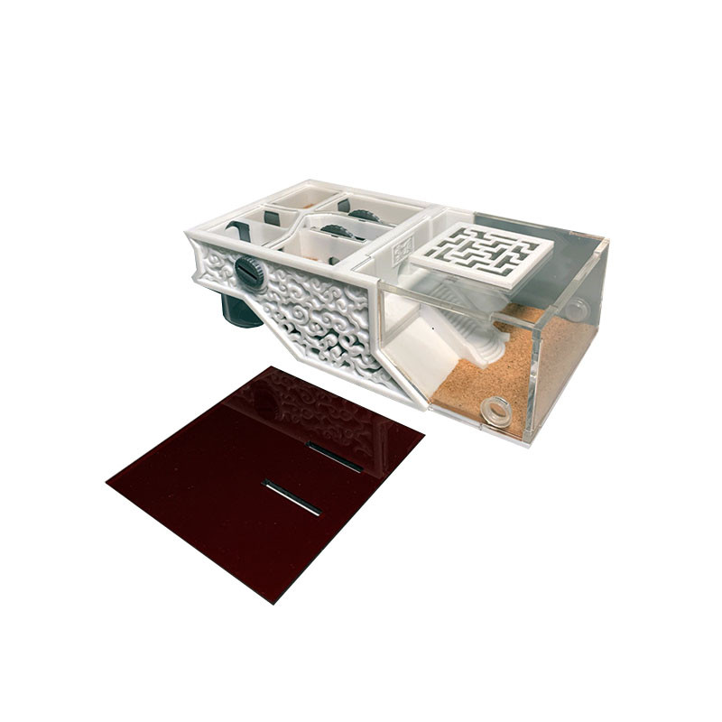 Jual Ant Farm Ant House Ant House New Post Small Cluster Nest Upgraded ...