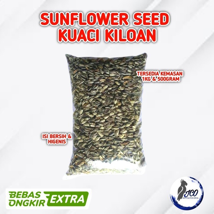 Jual KUACI 1KG SUNFLOWER SEED PAKAN MAKANAN BURUNG KUACI PARROT KUACI ...