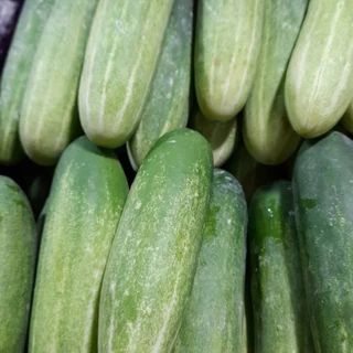 Jual Timun 1 Kg Terlengkap & Harga Terbaru Agustus 2024 | Shopee Indonesia