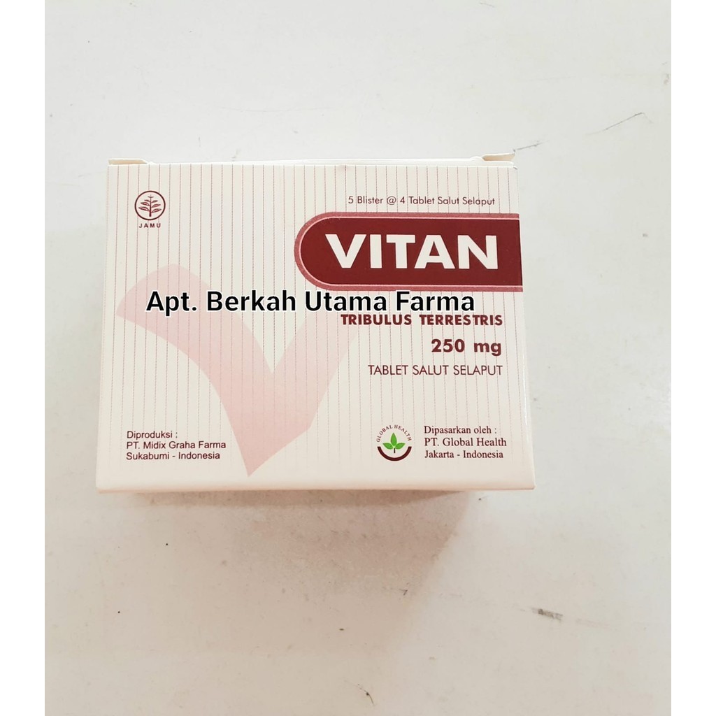 Jual Vitan 250 Mg Box isi 20 Tablet | Shopee Indonesia