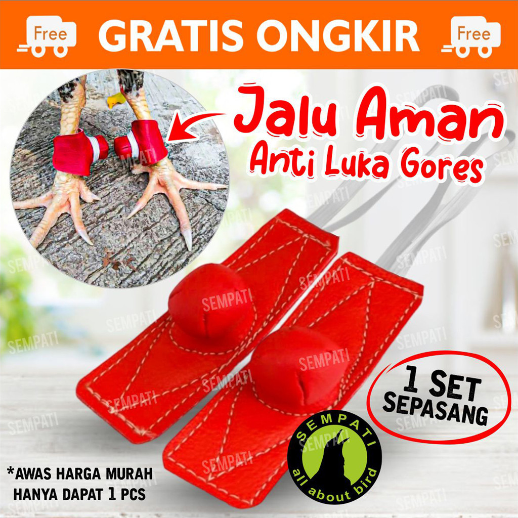 Jual Bungkus Jalu Ayam Bahan Kaleb Pelindung Jalu Kaki Ayam Bangkok ...