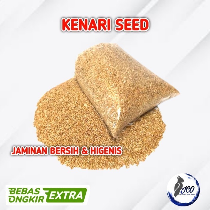 Jual KENARI SEED 500GR MAKANAN BURUNG KENARI FINCH EMPRIT CANARY SEED ...