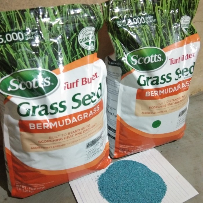 Jual bibit rumput bermuda - biji rumput lapangan sepakbola ...