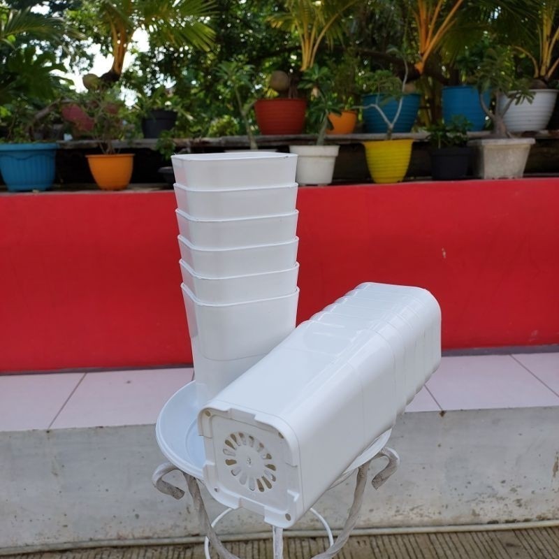 Jual (12pcs) LUSINAN HDG KOTAK SEGI 10 (10cm) : pot bunga kaktus ...