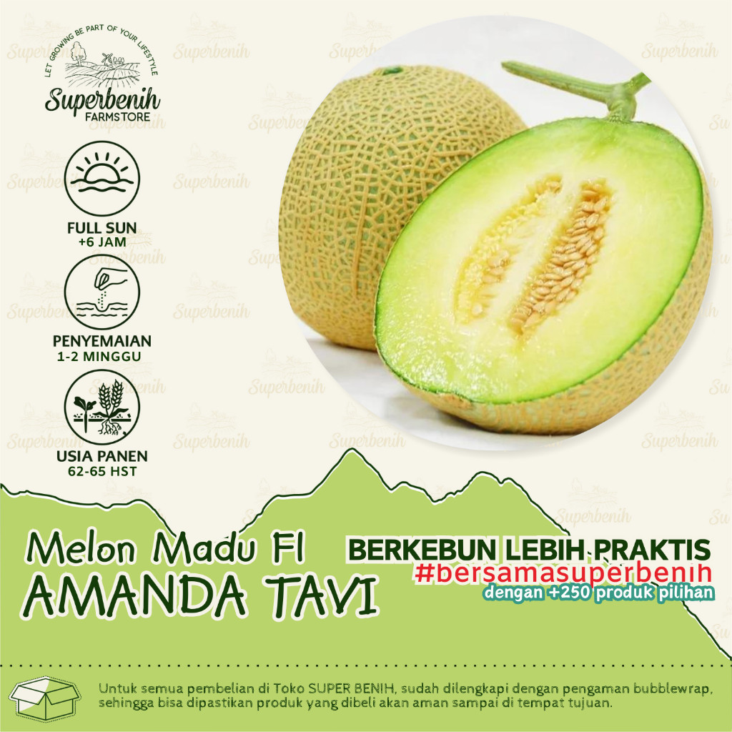 Jual 3 Biji - Benih Melon Madu AMANDA TAVI F1, rasa manis, favorit ...