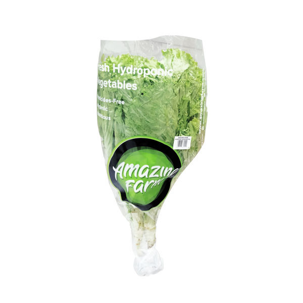 Jual SELADA KERITING HYDROPONIK PACK | Shopee Indonesia