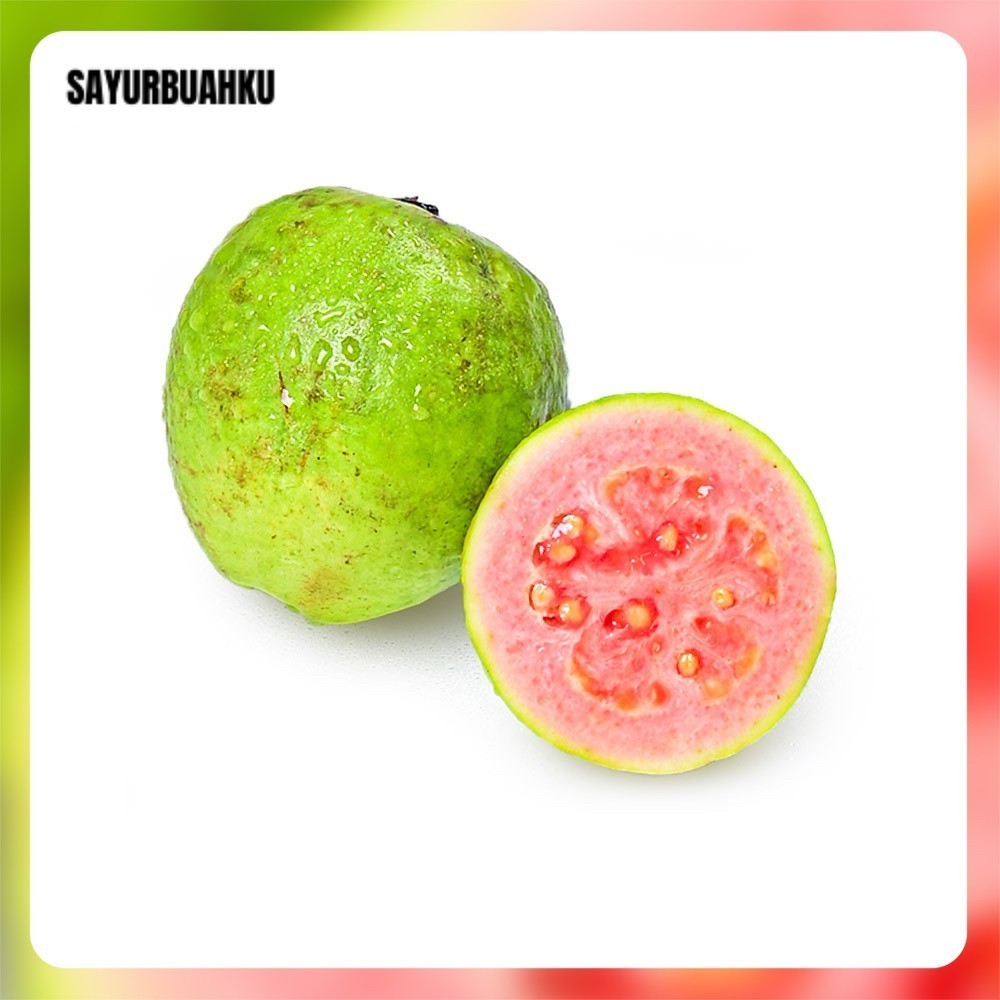 Jual Jambu Biji Merah 1 kg | Shopee Indonesia
