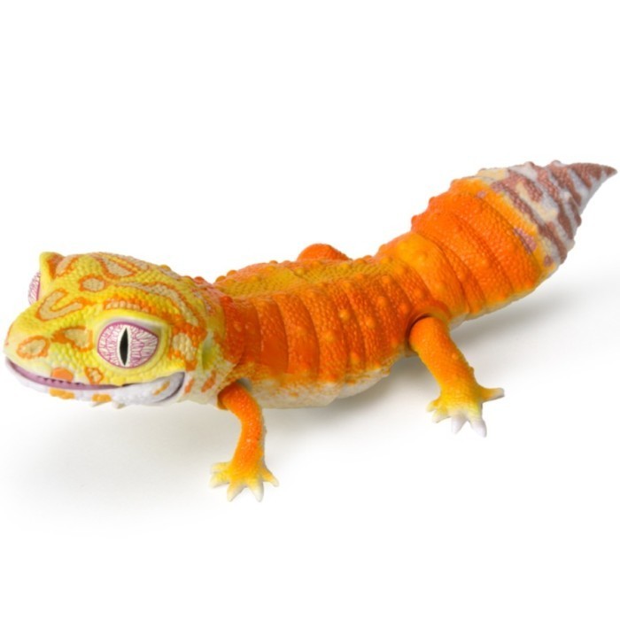 Jual Vincent Gashapon Gecko BEST edition BANDAI ikimono gacha tokek ...