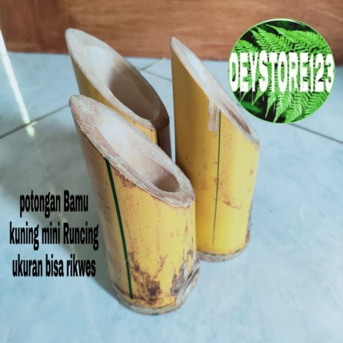 Jual potongan bambu kuning runcing ukuran pendek 10cm-25cm | Shopee ...