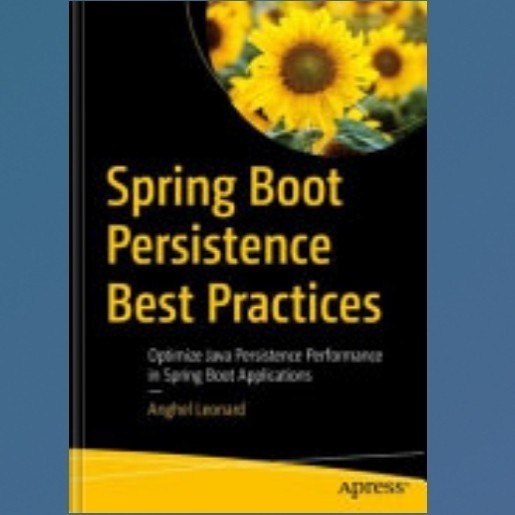 Jual Buku Spring Boot Persistence Best Practices | Shopee Indonesia