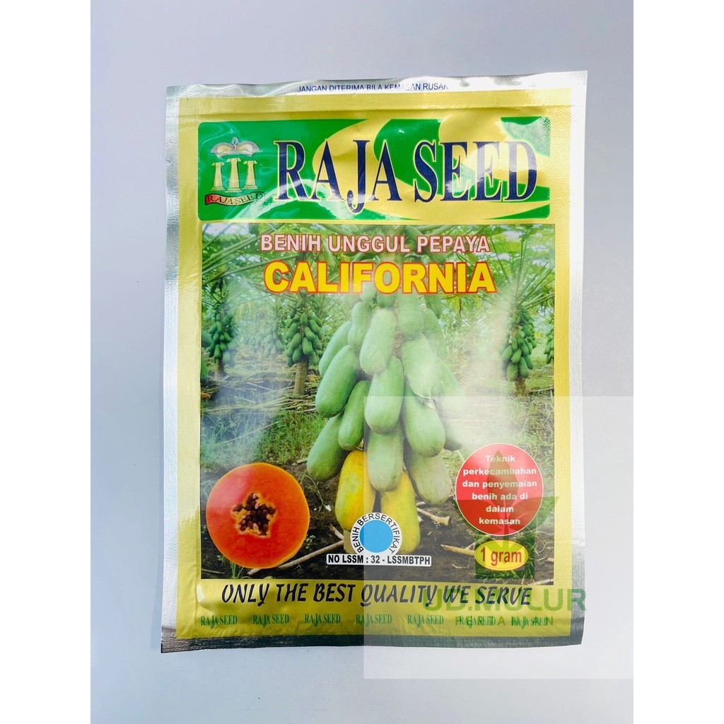 Jual Benih Pepaya CALIFORNIA Merk Raja Seed #MLR | Shopee Indonesia