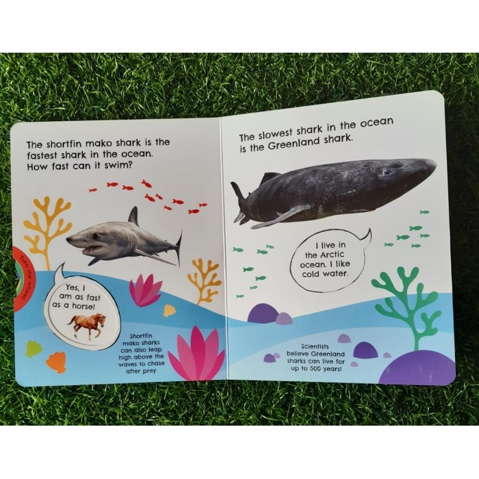 Jual First Facts Shark | Shopee Indonesia