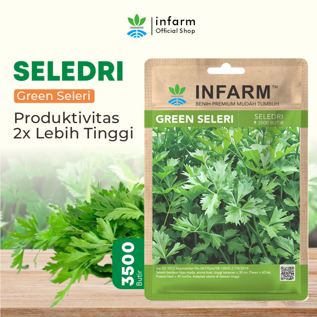 Jual INFARM - Benih Bibit Biji Super Daun Seledri | Shopee Indonesia