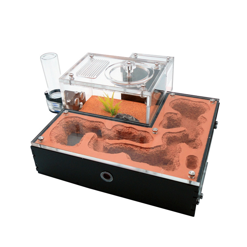 Jual Ant Farm mini CC with External Water Tower Moisturise Ant Nest Pet ...