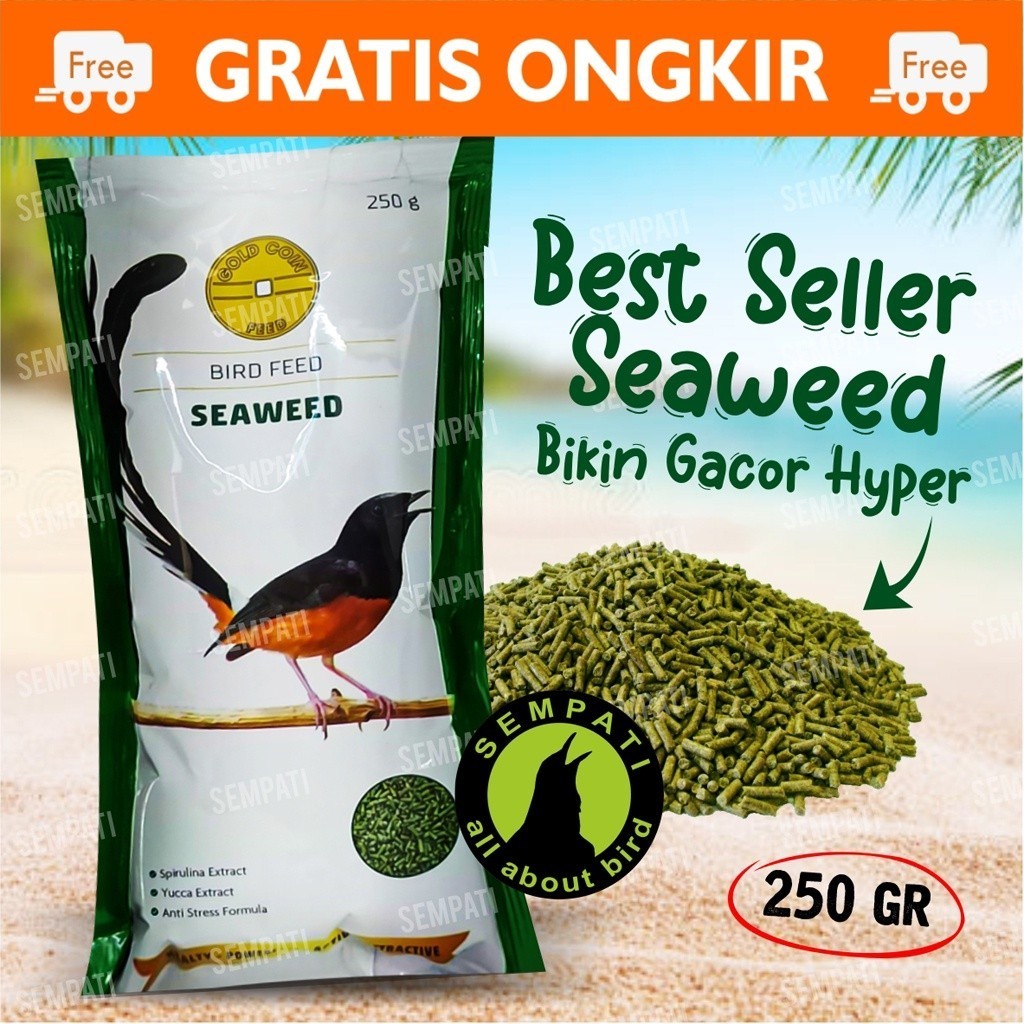 Jual SEMPATI GOLD COIN SEAWEED 250 GRAM GOLDCOIN RUMPUT LAUT HIJAU IJO ...