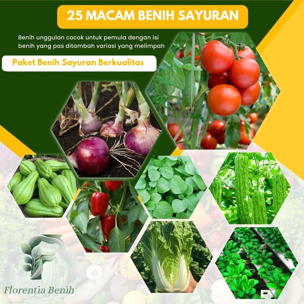 Jual 1 PAKET 25 MACAM JENIS BENIH SAYUR SAYURAN SIAP TANAM MUDAH TUMBUH ...