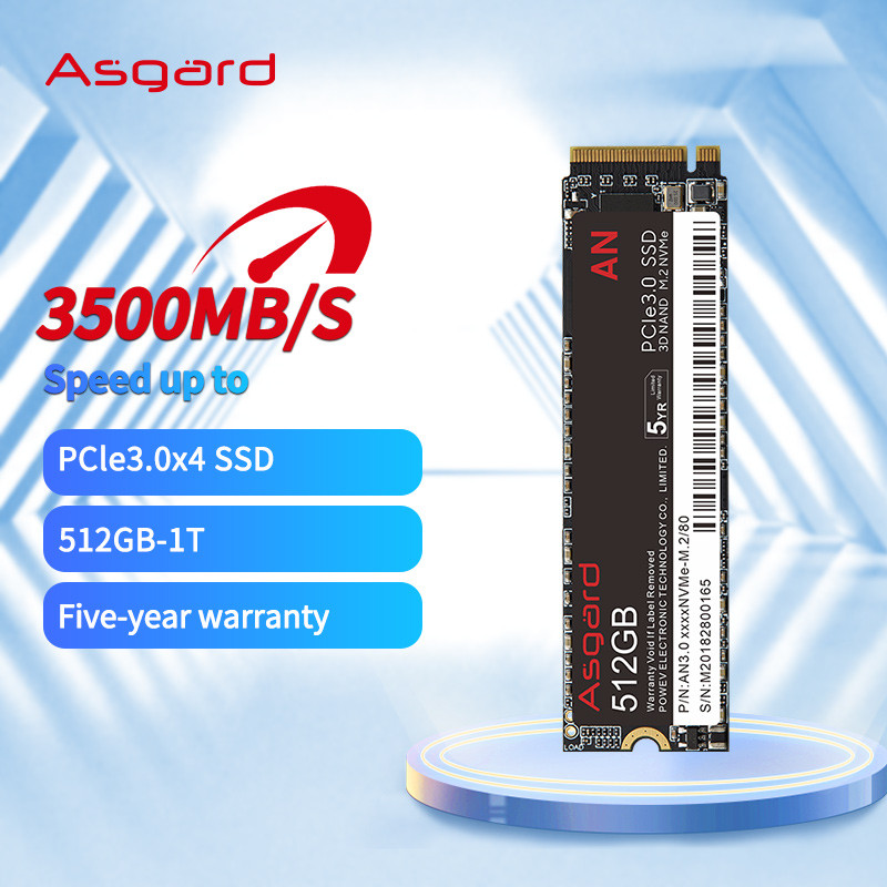 Jual Asgard M.2 SSD 512GB 1TB SSD hard Drive M2 ssd m.2 NVMe pcie SSD ...