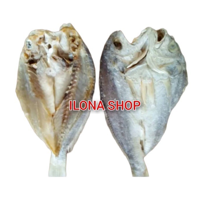 Jual IKAN ASIN GULAMA (GULAMO) 1KG | Shopee Indonesia