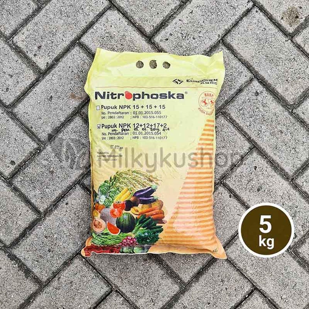 Jual PUPUK SANTANI NITROPHOSKA 12 12 17 2 TE ISI 5 KG KEMASAN PABRIK | Shopee Indonesia