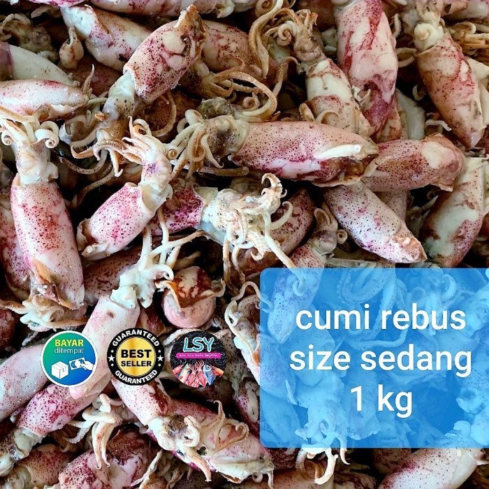 Jual cumi asin rebus/ sotong rebus size sedang 1kg | Shopee Indonesia