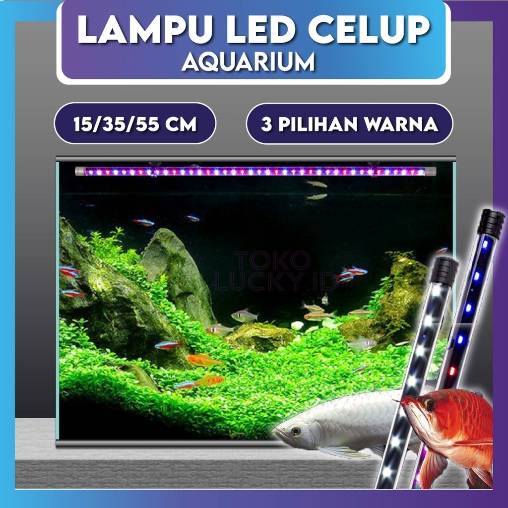 Jual Lampu Aquarium LED Celup 15cm 35cm 55cm Akuarium Aquascape Ikan ...