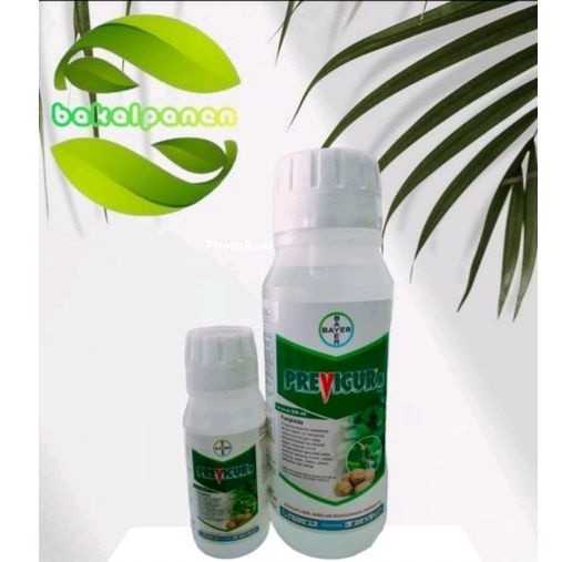 Jual Fungisida bayer PREVICUR N untuk rebah semai, busuk batang, dan ...